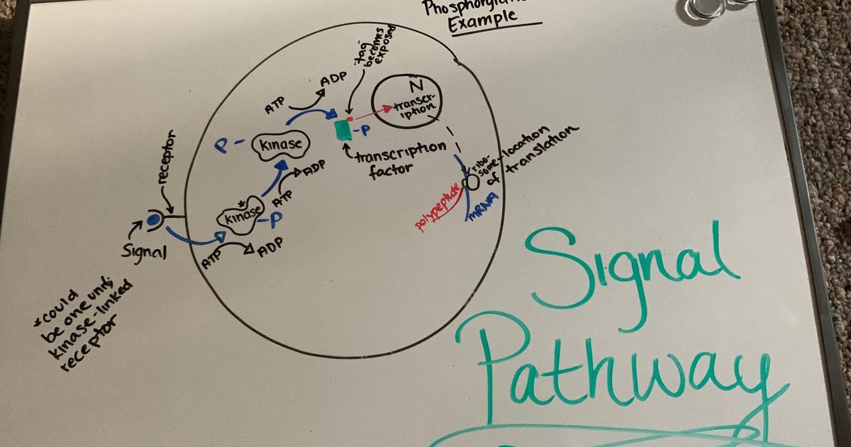 STEM at Carleton: A Freshman’s Perspective