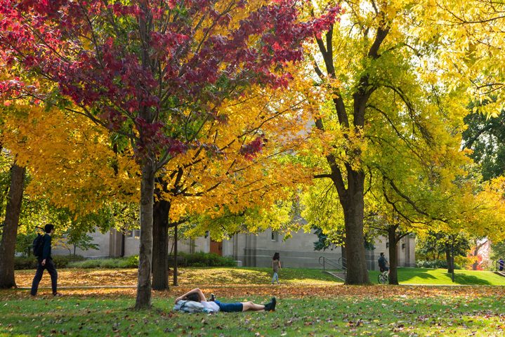Falling for Carleton