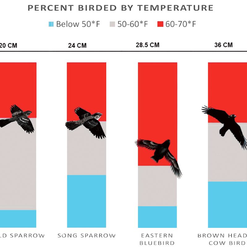 Strength in Numbers – Carleton Integrated Math & Science – Carleton College
