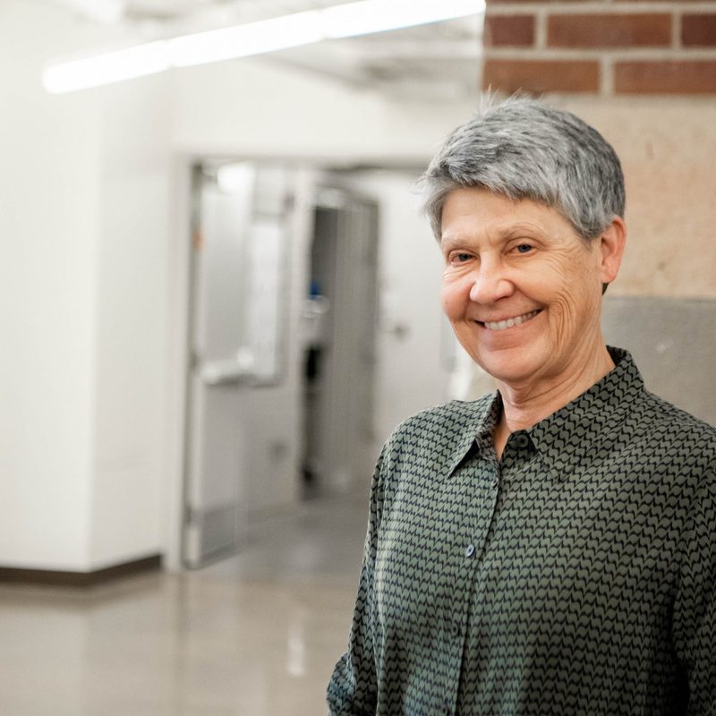 Professor Barbara Allen receives award for book exploring lies in ...