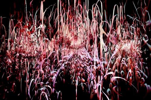 ‘Thin Skinned’ Exhibit to Open at Art Gallery – News – Carleton College