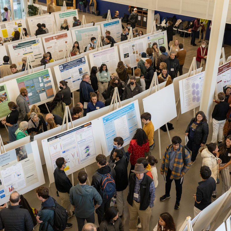 Carleton’s Humanities Center receives new endowed fund for student ...