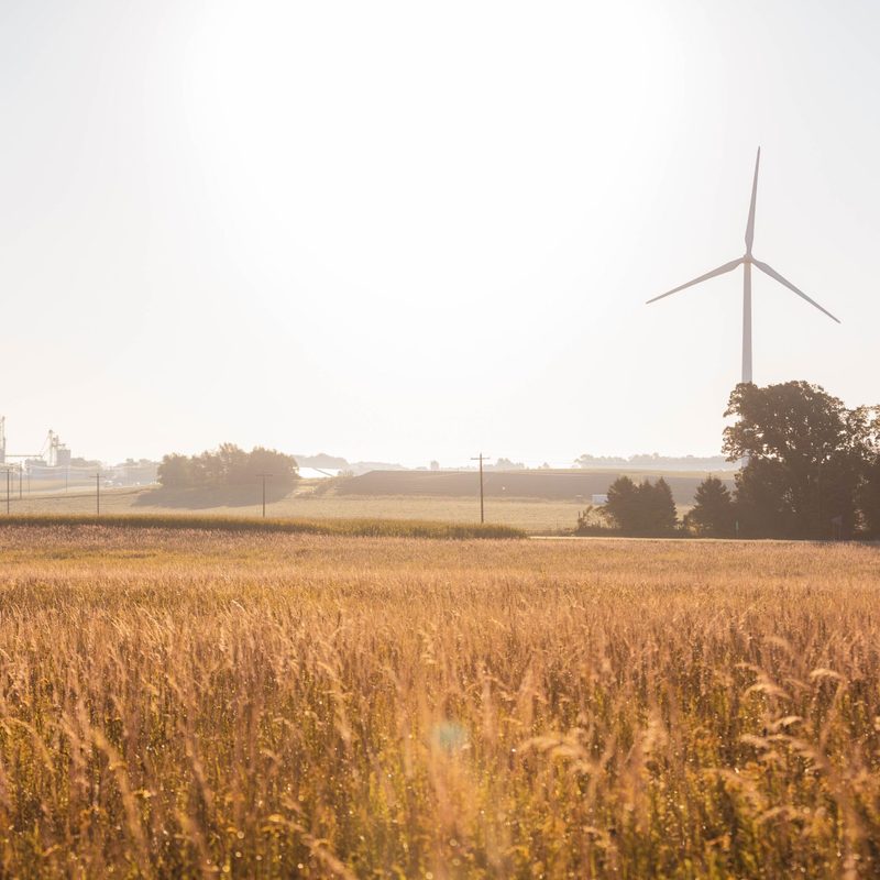 Sarah Fortner named director of sustainability as Carleton expands ...