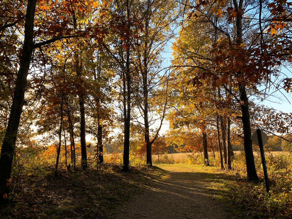 Tree Movement – Cowling Arboretum – Carleton College