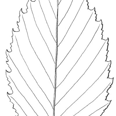 Key Question 5.2 (summer) – Cowling Arboretum – Carleton College