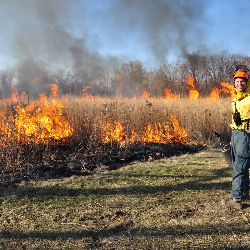 It’s Spring and It Smells Like… Fire? – Cowling Arboretum – Carleton ...