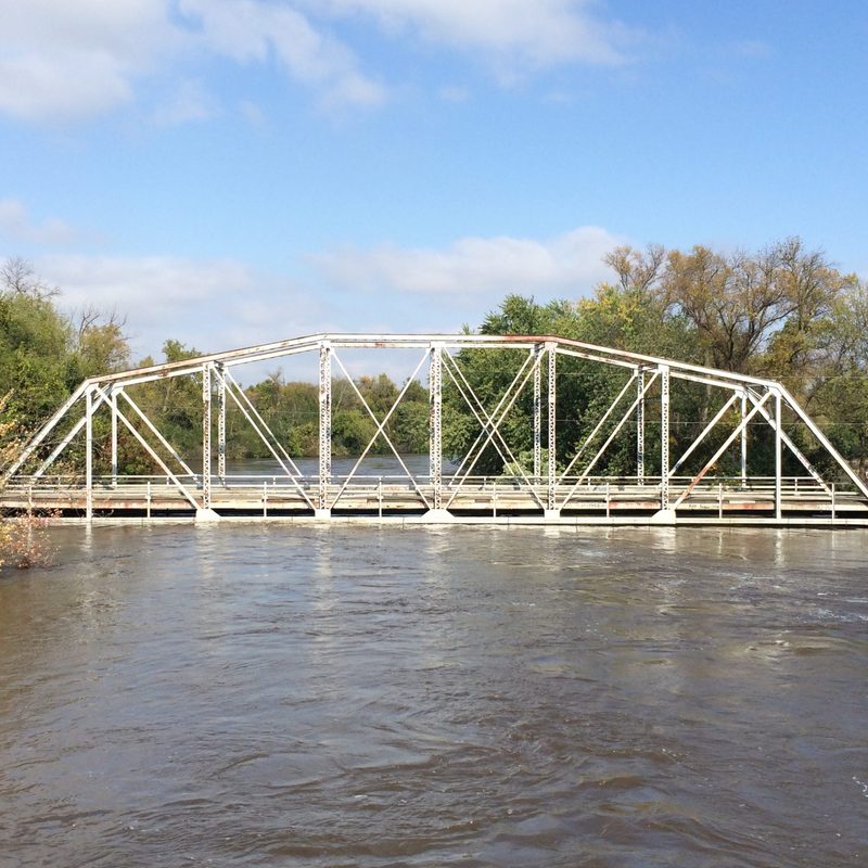 Rooted in Adaptation: Floodplain Trees’ Remarkable Physiology – Cowling ...