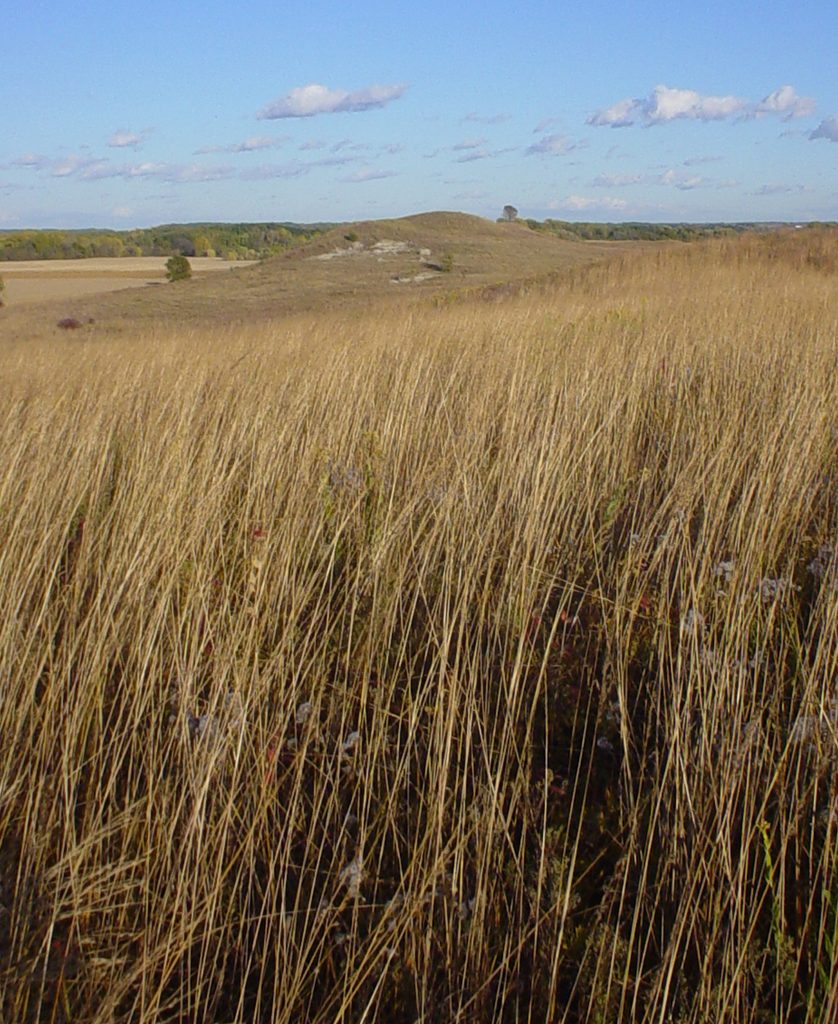 Arb Notes for October 21 – Soils of the Prairie – Cowling Arboretum ...