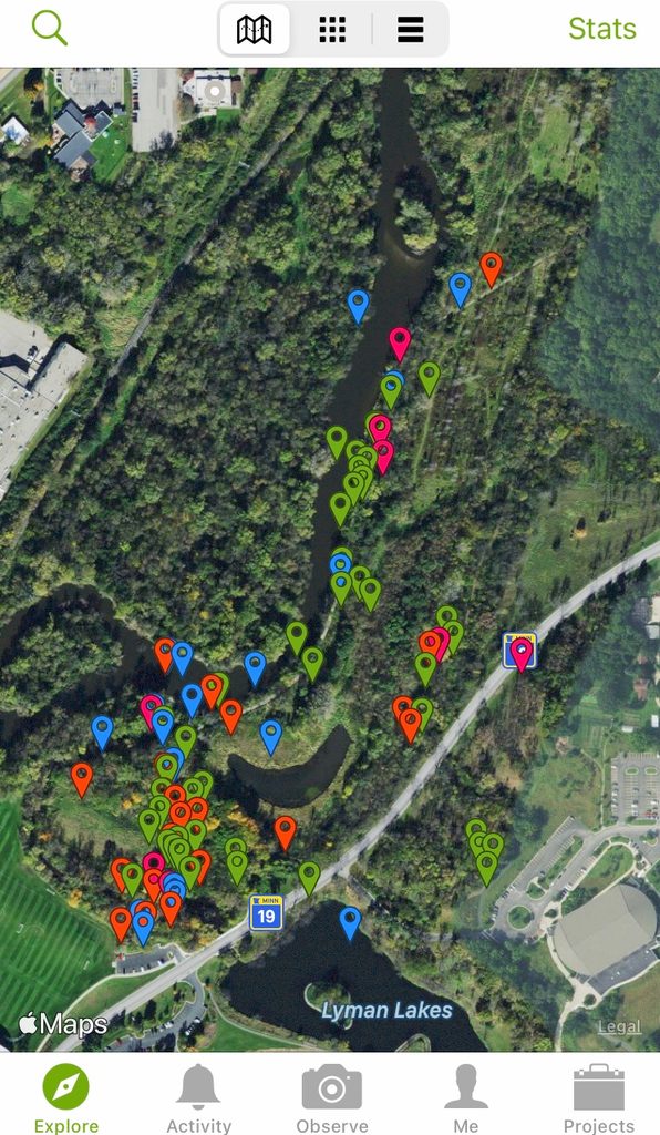 Citizen Science in the Arb – Cowling Arboretum – Carleton College
