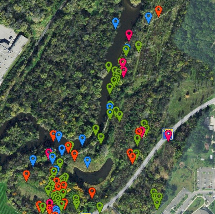 Citizen Science in the Arb – Cowling Arboretum – Carleton College
