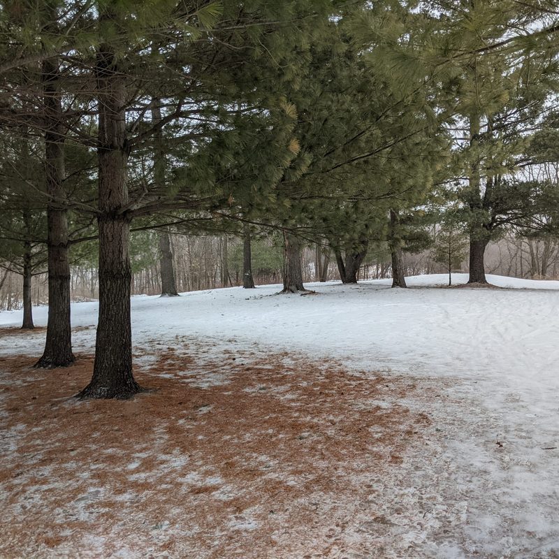 History – Cowling Arboretum – Carleton College