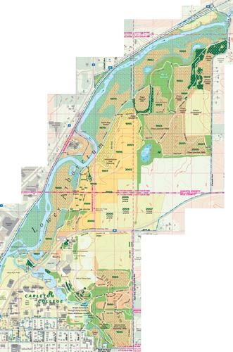 Wet Prairie in the Arboretum – Cowling Arboretum – Carleton College