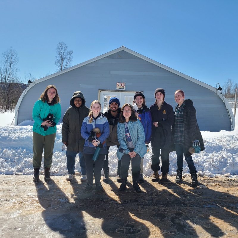 Student-led Alternative Spring Break trips emphasize learning, making ...