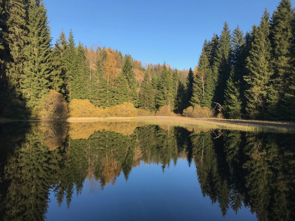 Jáchymov and Karlovy Vary – Cross-Cultural Psychology in Prague ...