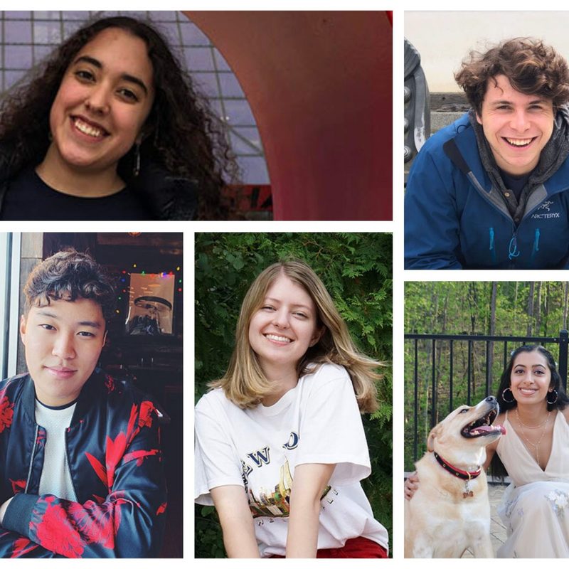 Mother-son duo provide remote Carleton internship experience – Career ...