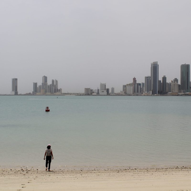 History, Culture, and Commerce: Africa and Arabia – OCS Voices and ...