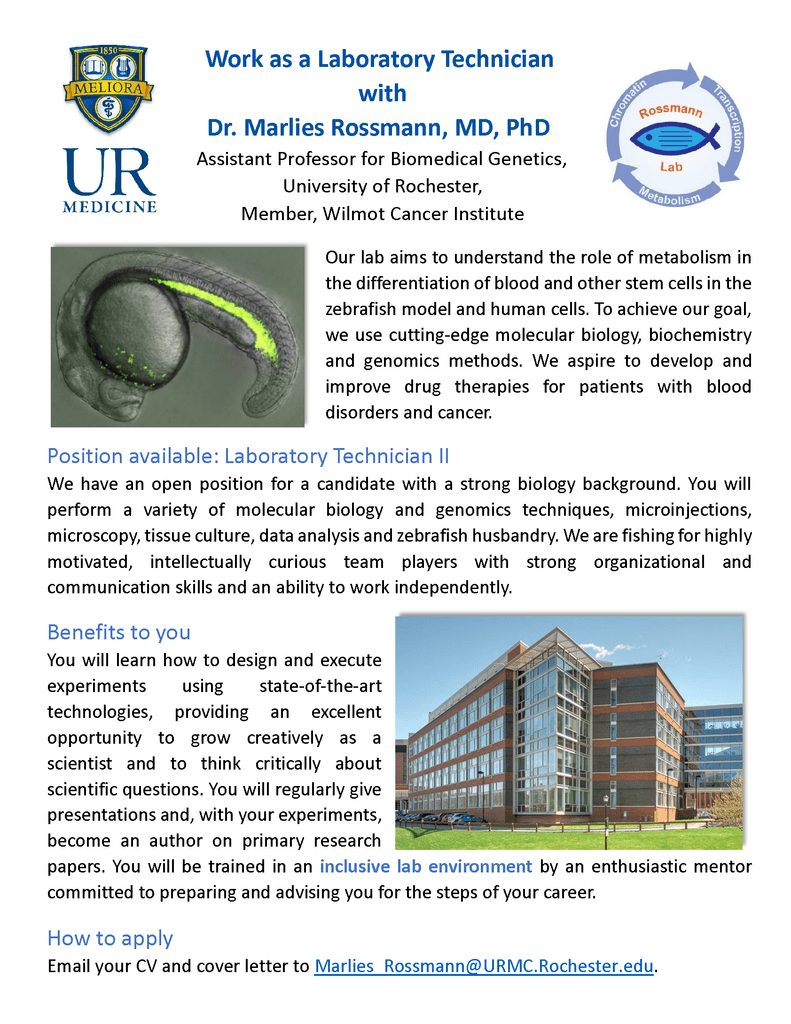 Lab Technician at University of Rochester Medical Center – Biology ...