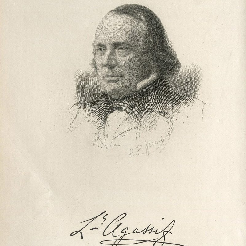 Louis Agassiz’s Contributions to the Natural History of the United ...
