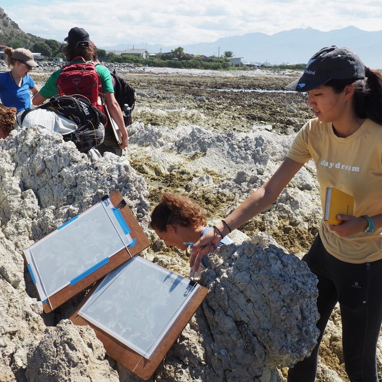 Geology Off-Campus Study – Geology – Carleton College