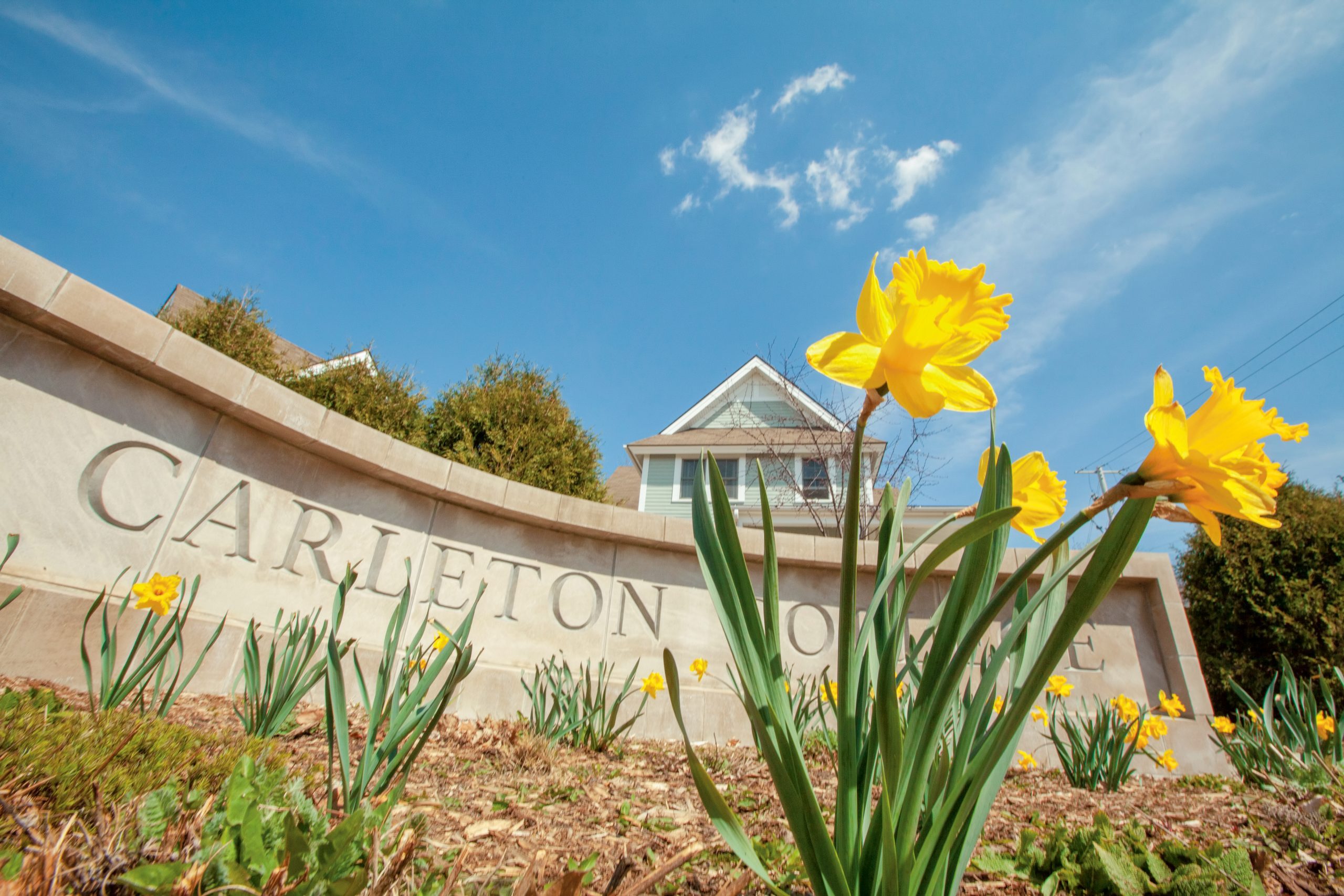 A Cold Spring – Voice – Carleton College