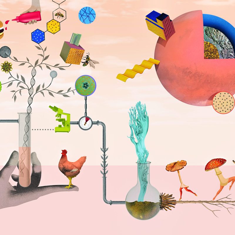 Ecology by Design – Voice – Carleton College