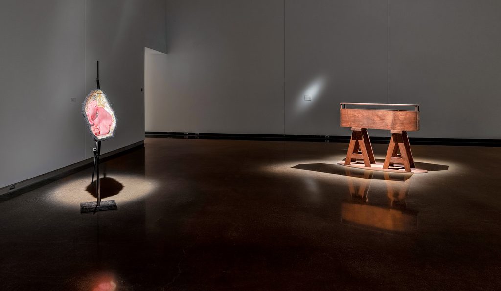 Corporeal Encounters – Voice – Carleton College