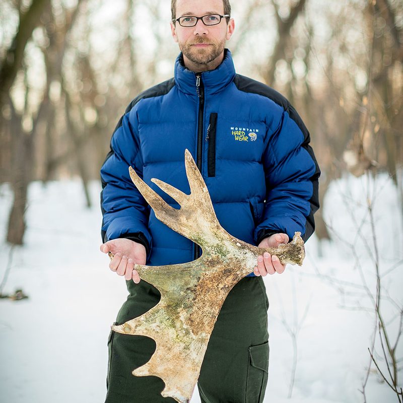 The Mystery of the Disappearing Moose – Voice – Carleton College