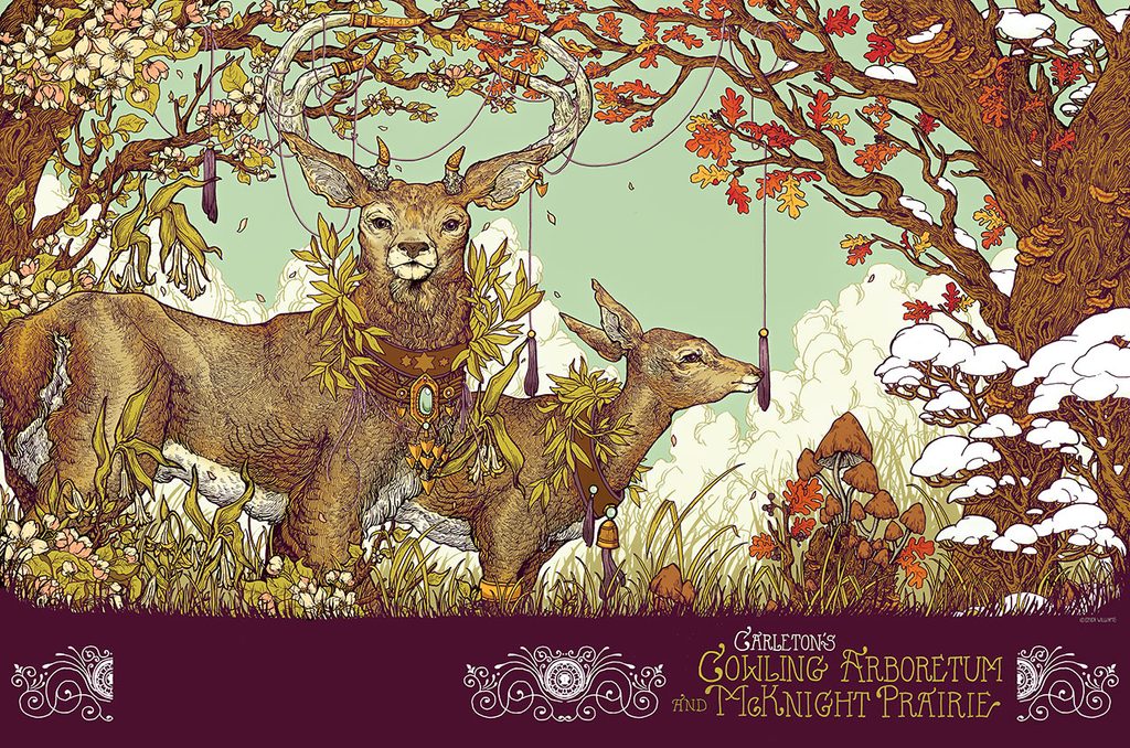 Field Guide: Cowling Arboretum and McKnight Prairie – Voice – Carleton ...