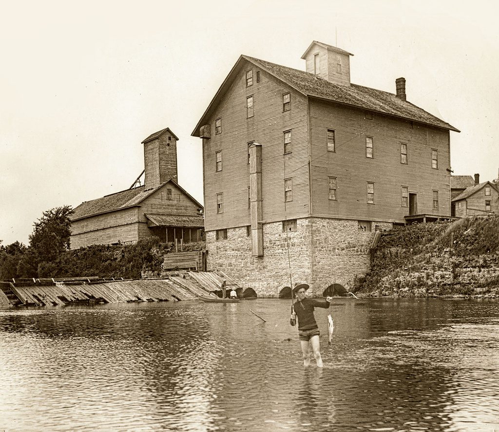 Field Guide: Cowling Arboretum and McKnight Prairie – Voice – Carleton ...