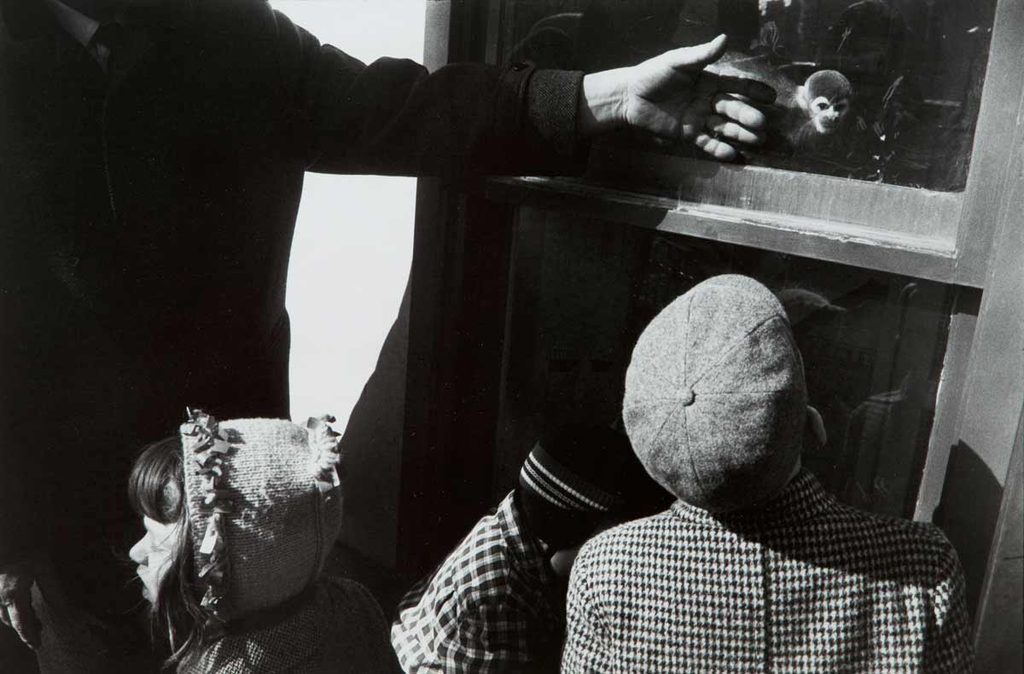 Top Ten List: Carleton Art Collection – Voice – Carleton College