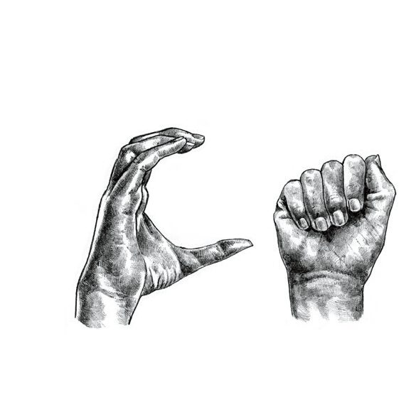 Why I Sign – Voice – Carleton College