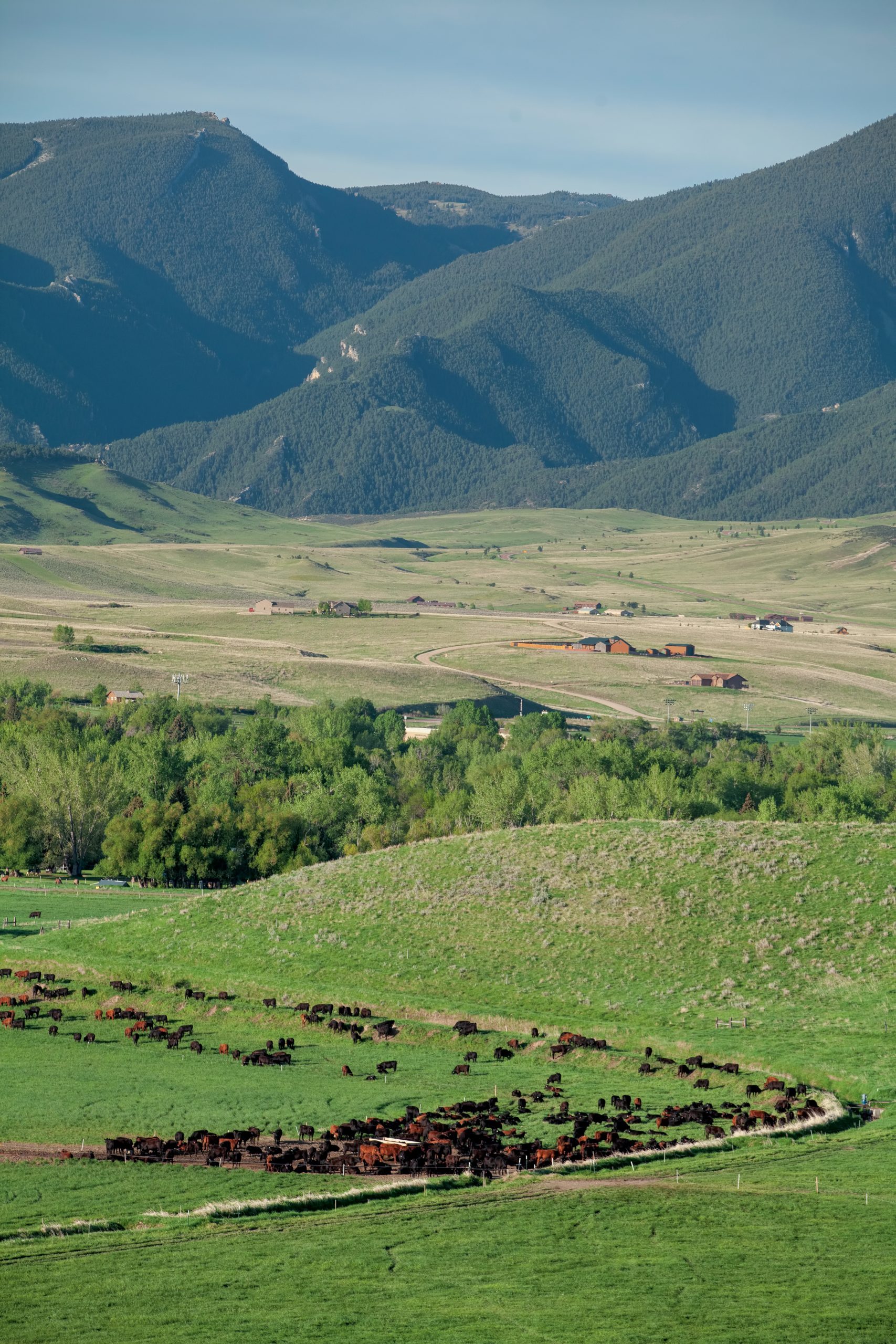 Home on the Range – Voice – Carleton College