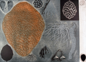 Jay Beck: Sound Design – Curious Objects – Carleton College