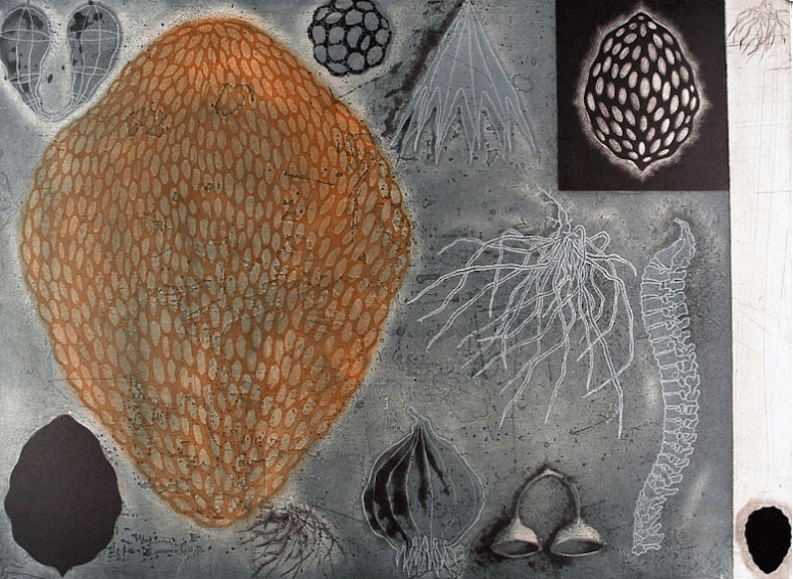 Jay Beck: Sound Design – Curious Objects – Carleton College