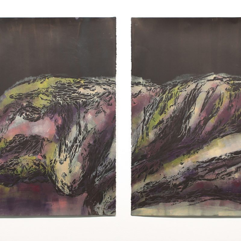 Robin C. Rojas-Cheatham – 2023 Senior Art Show – Carleton College