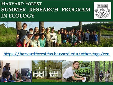 2020 Harvard Forest Summer Research Program in Ecology – The Weekly ...