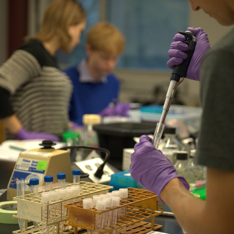 Science Strong - Carleton College