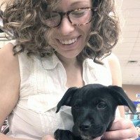 Alumni Profile: Amanda Zoch (’10) – The Second Laird Miscellany ...